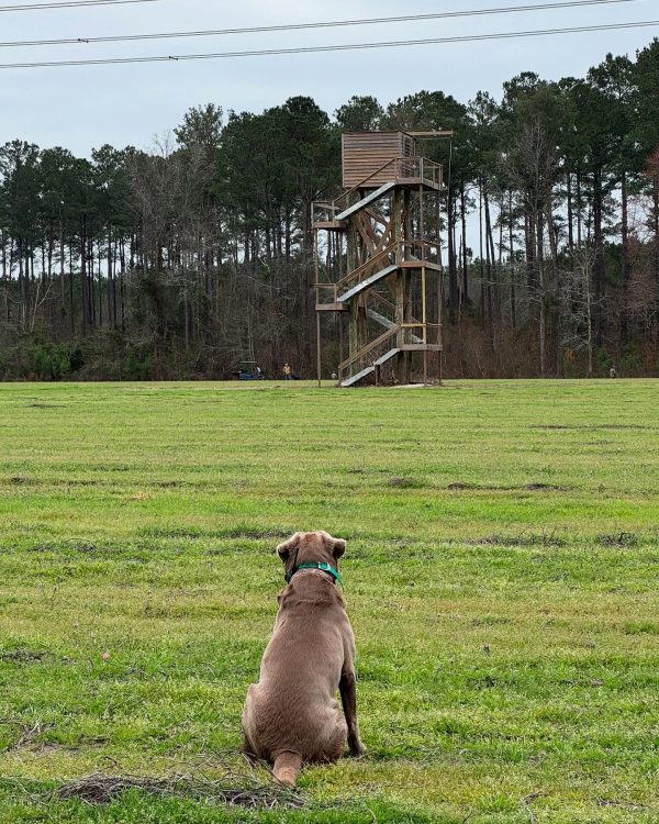 January 17, 2026 – D&G Outdoors